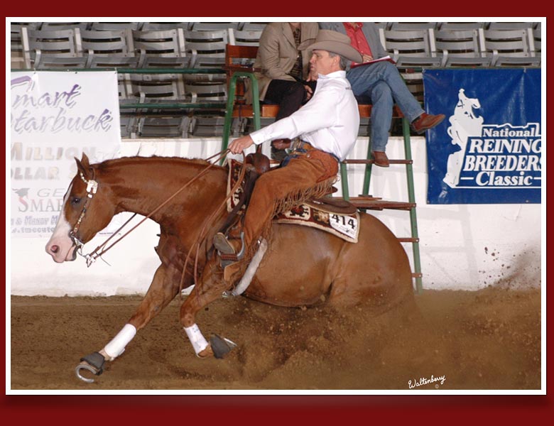 Caballo Rojo Ranch – Quality Reining and Working Cow Horses